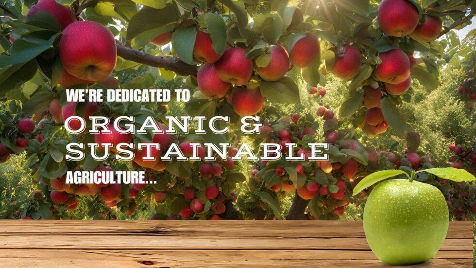 ALMAR ORCHARDS AND CIDERY – Producing Fruit with Organic and ...